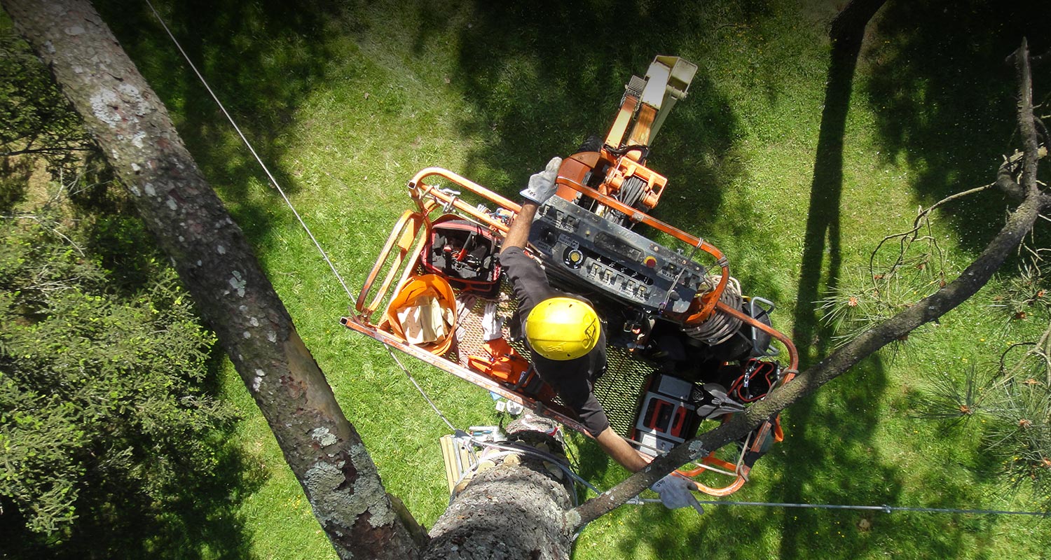 Alceda Aventura - Vertikalist